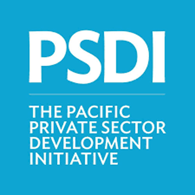 Director selection process critical to SOE performance- PSDI - Island Times