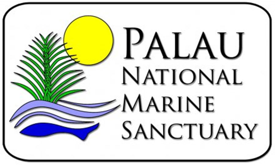 The first large scale satellite tagging program study on PNMS released ...