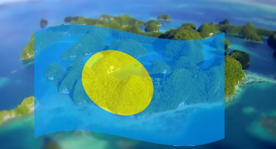 Palau focuses on delivering blue carbon projects - Island Times News